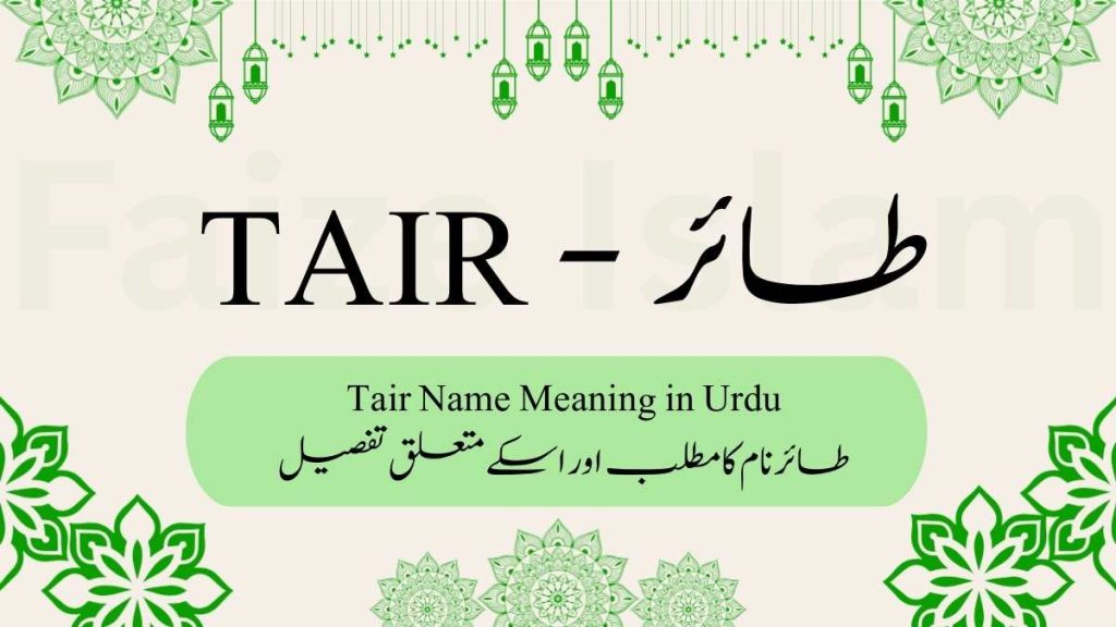 شاہزیب نام کا مطلب اردو | Shahzaib Name Meaning in Urdu | Faize Islam